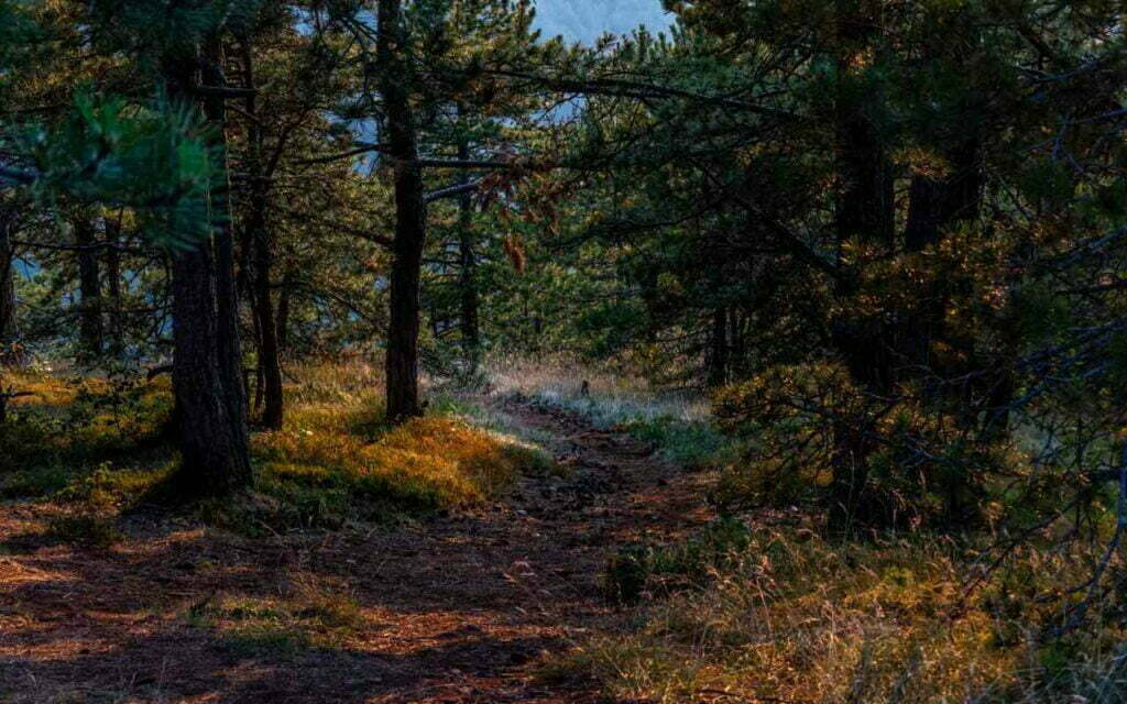 Planina Maljen - Vodič kroz živopisnu Maljen planinu | Knežev Dvor